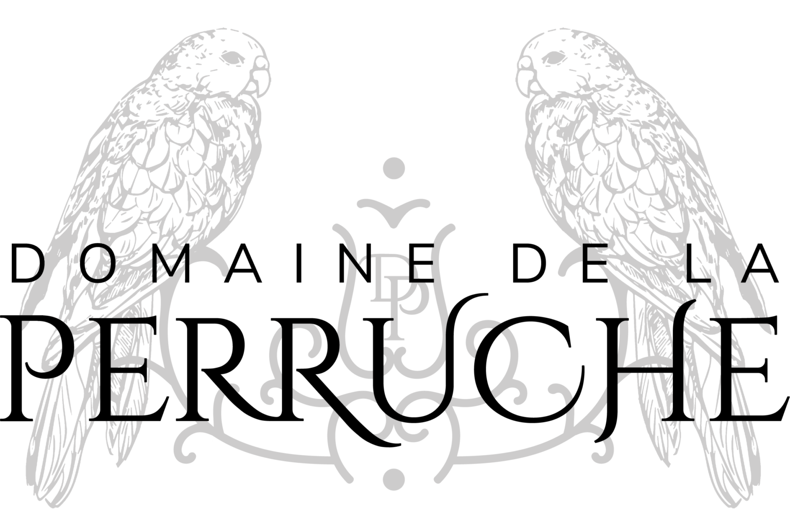 [POUR FOND BEIGE] Logo Domaine de la Perruche 2020-HD – Domaine La Perruche